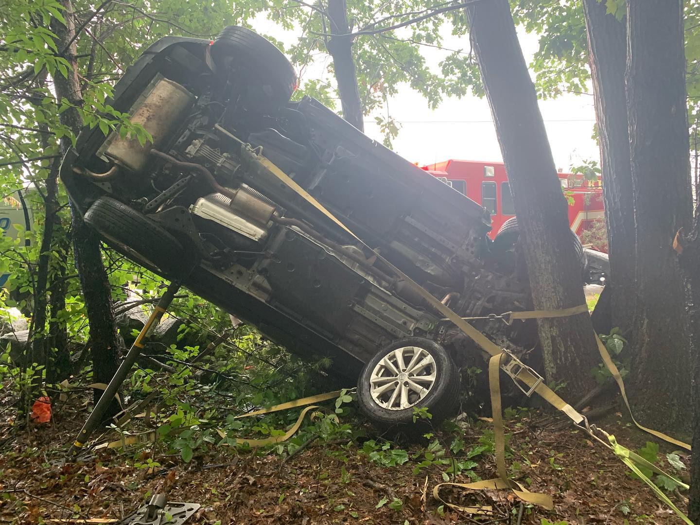 Vehicle crash into the trees - Absolute Rescue